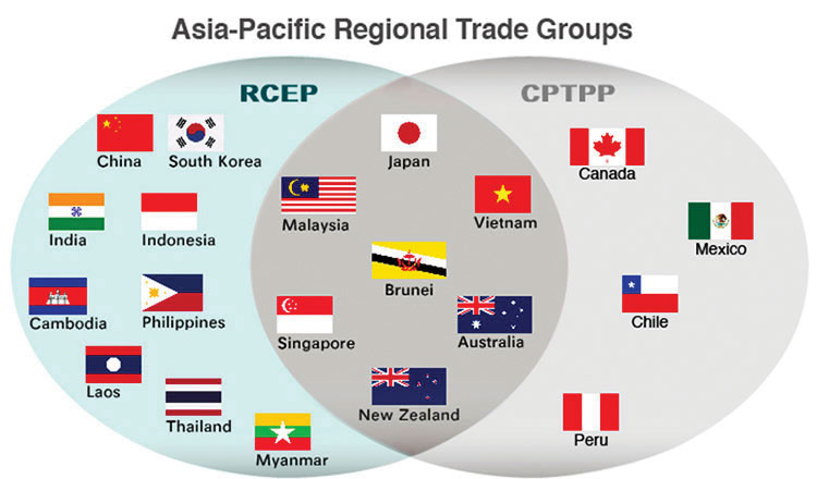 The Regional Comprehensive Economic Partnership (RCEP) and the business ...